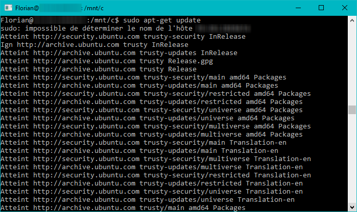 Installer le Bash Ubuntu sous Windows 10 | Astuces | IT-Connect
