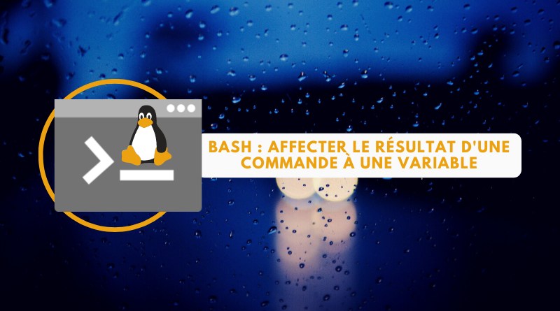 Tutoriels Bash sous Linux