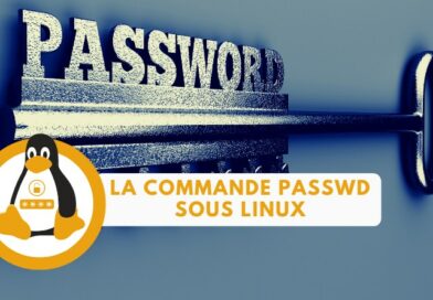MySQL : activer les connexions à distance