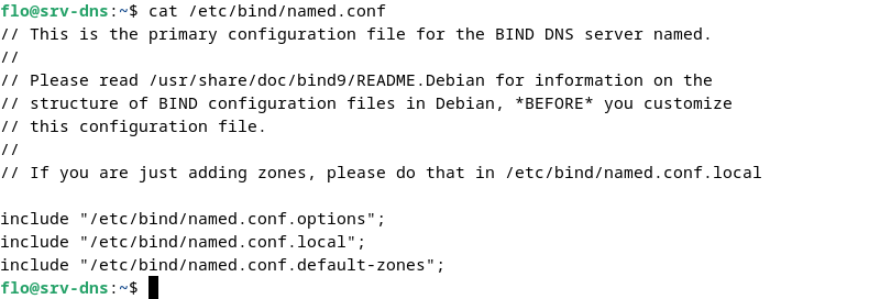 Bind 9 : mise en place d'un serveur DNS sous Linux