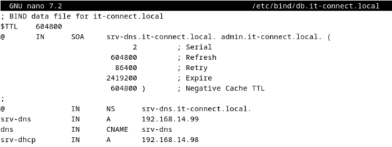 Bind 9 : mise en place d'un serveur DNS sous Linux