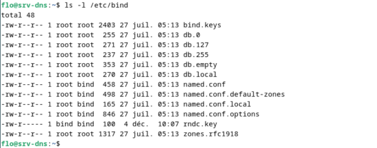 Bind 9 : mise en place d'un serveur DNS sous Linux