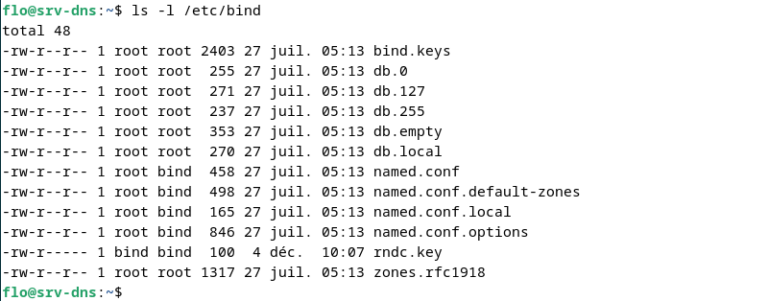 Bind 9 : mise en place d'un serveur DNS sous Linux