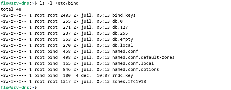 Bind 9 : mise en place d'un serveur DNS sous Linux