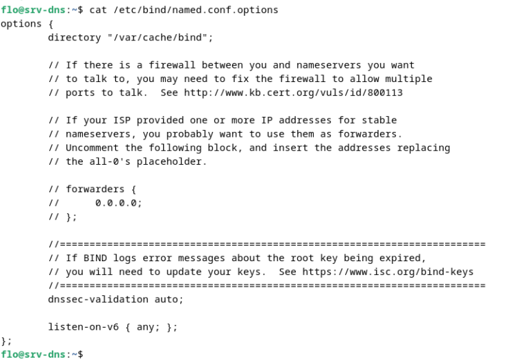 Bind 9 : mise en place d'un serveur DNS sous Linux