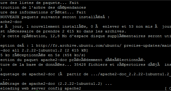Consulter la documentation Apache sur son serveur | Apache | IT-Connect