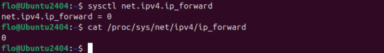 Linux : comment activer l'IP forwarding en IPv4 et IPv6