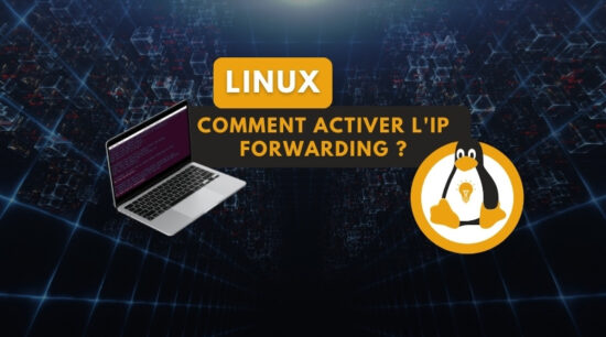 Linux : comment activer l'IP forwarding en IPv4 et IPv6