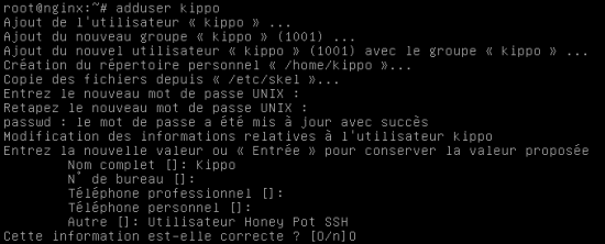 Honey Pot SSH avec Kippo | Services | IT-Connect