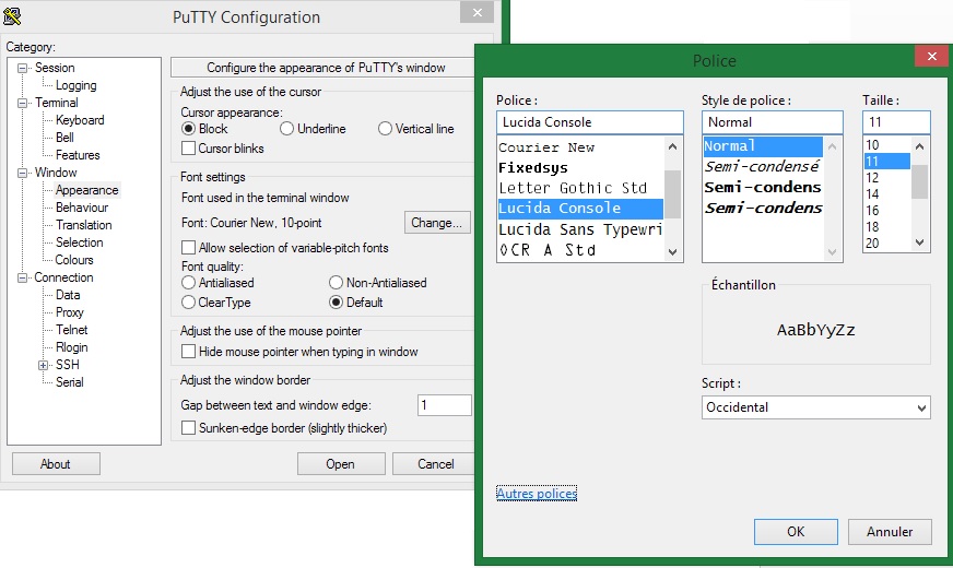 Apprendre à bien utiliser PuTTY - Les options de connexion