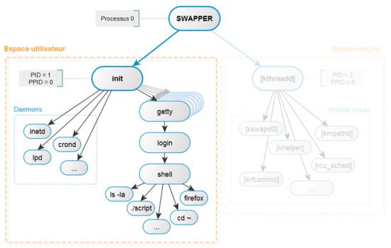 Les processus sous Linux | Linux | IT-Connect