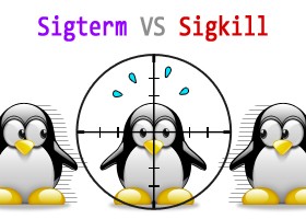 Sigterm VS Sigkill | Commandes et Système | IT-Connect