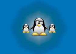 Les processus sous Linux | Linux | IT-Connect