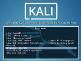 Installation de Kali Linux à partir d’une image ISO | IT-Connect