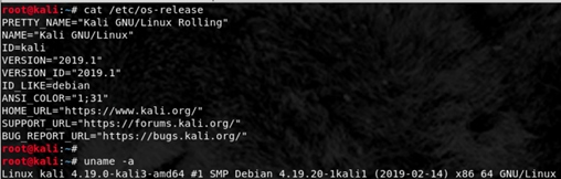 Kali Linux Rolling-up | IT-Connect