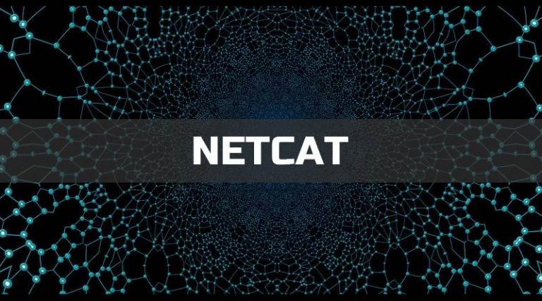 A la découverte de l'utilitaire netcat sur Linux | Commandes et Système ...