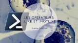 PowerShell : les opérateurs -like et -notlike | IT-Connect