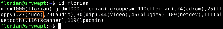 Commande sudo : comment configurer sudoers sous Linux ? | IT-Connect