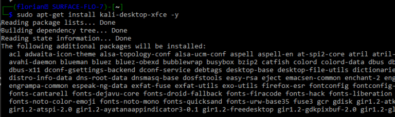 Installer Kali Linux (avec interface graphique) sur Windows 10 avec WSL ...