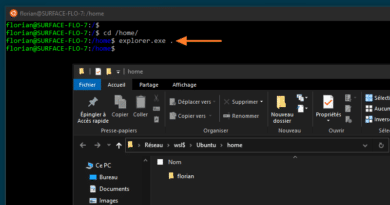 WSL : comment accéder aux fichiers Linux depuis Windows 10 ? | IT-Connect