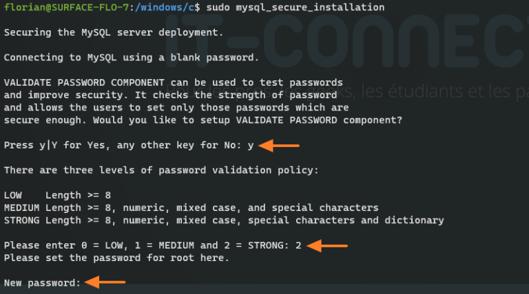 Installer Un Serveur Web Lamp Apache Mysql Php Sur Wsl 2 It Connect