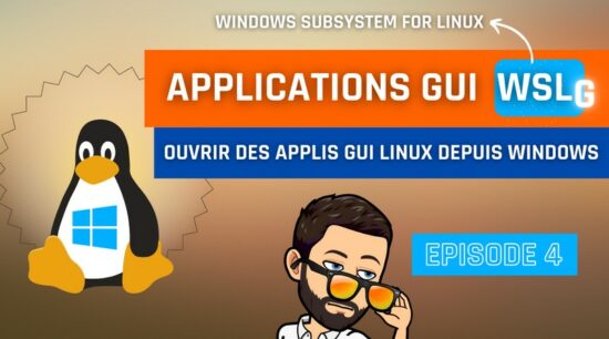 WSLg : comment utiliser WSL pour ouvrir des applications GUI Linux ? | IT-Connect