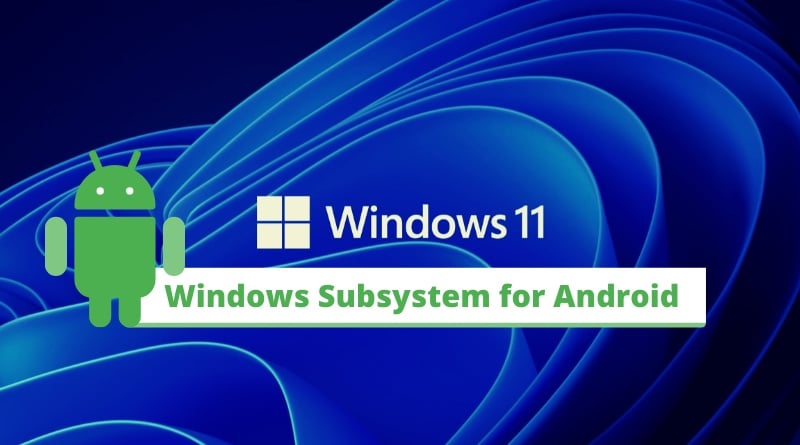 Windows Subsystem for Android (WSA) aperçu dans le Microsoft Store ...