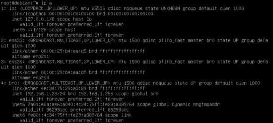 Monitorer son réseau avec Ntopng | IT-Connect