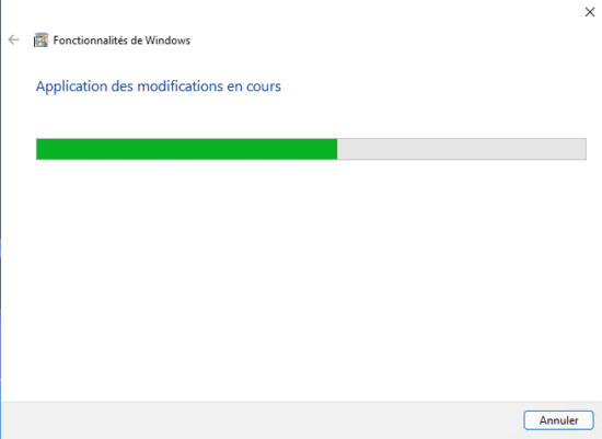 Comment installer IIS sur Windows 11 ? | IT-Connect