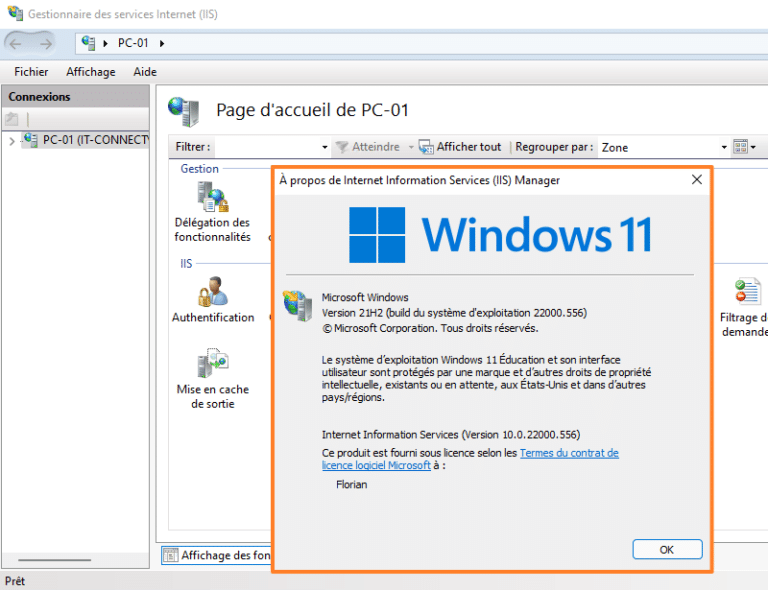 Comment installer IIS sur Windows 11 ? | IT-Connect