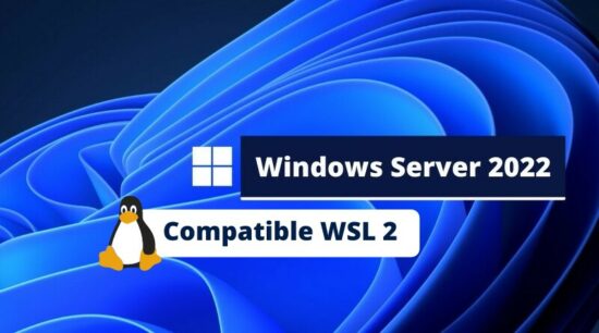 Linux sur Windows Server 2022 : WSL 2 est compatible