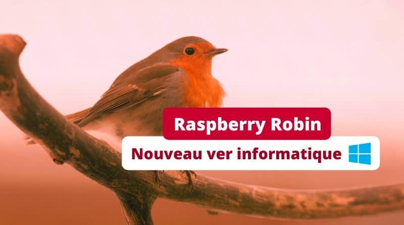 Sécurité : Raspberry Robin cible Windows grâce aux clés USB