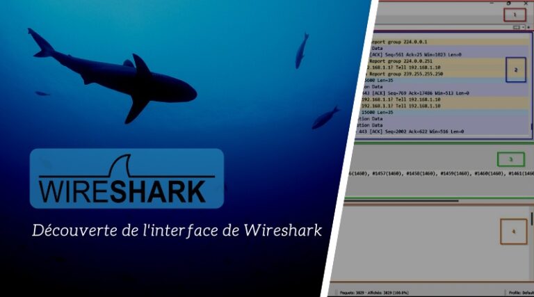Comment fonctionne l'interface de Wireshark