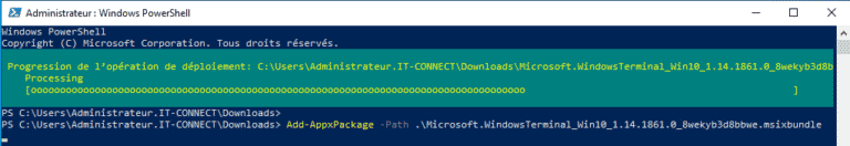 Comment installer Windows Terminal sur Windows Server 2022