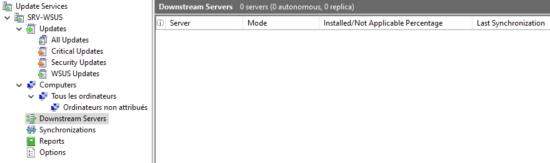 Prise en main de la console WSUS