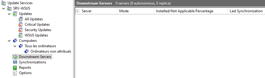 Prise en main de la console WSUS