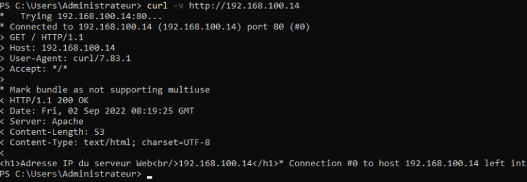 Le protocole HTTP pour les débutants : l'essentiel à savoir
