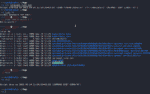 Linux - Commande script : enregistrer l'activité du terminal