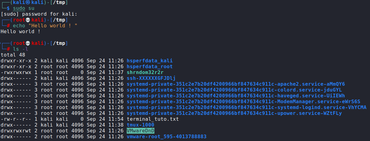 Linux - Commande script : enregistrer l'activité du terminal
