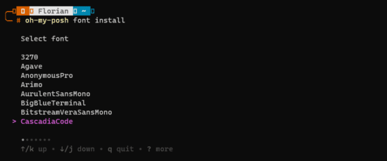 Oh My Posh, la solution pour un beau thème PowerShell