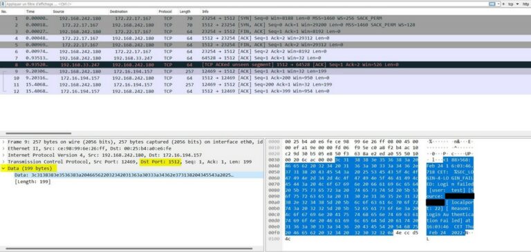 Wireshark - Comment décoder un protocole