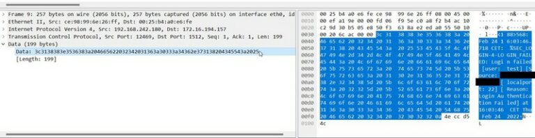 Wireshark - Comment décoder un protocole