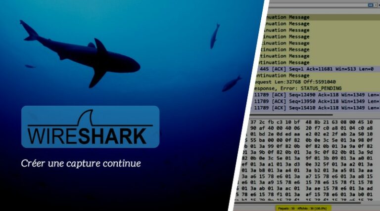 Tutoriels Wireshark | IT-Connect