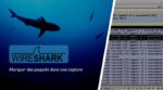 Tutoriels Wireshark | IT-Connect