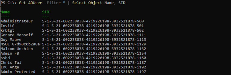 L'Active Directory : SID, RID et SID History