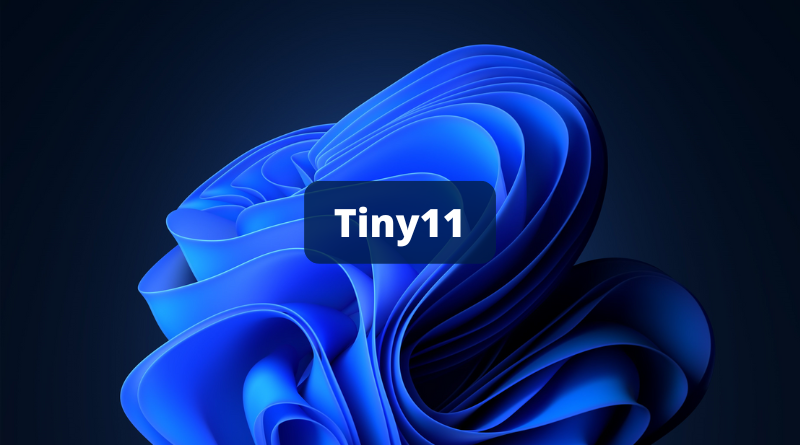 Tiny11, une version light de Windows 11 23H2