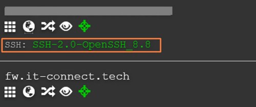 Découverte de DNSdumpster, un outil de reconnaissance DNS