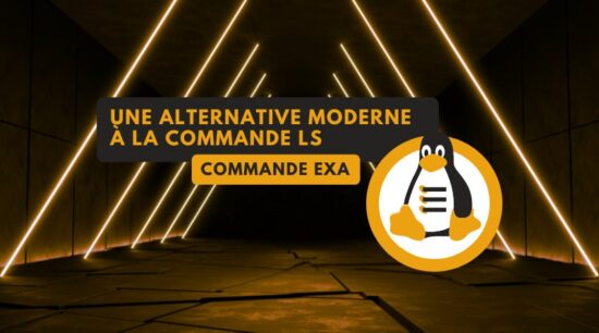 La commande exa sous Linux, une alternative moderne à ls