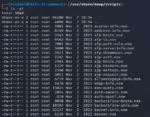 Nmap - Comment utiliser les scripts NSE