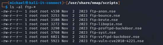 Nmap - Comment utiliser les scripts NSE
